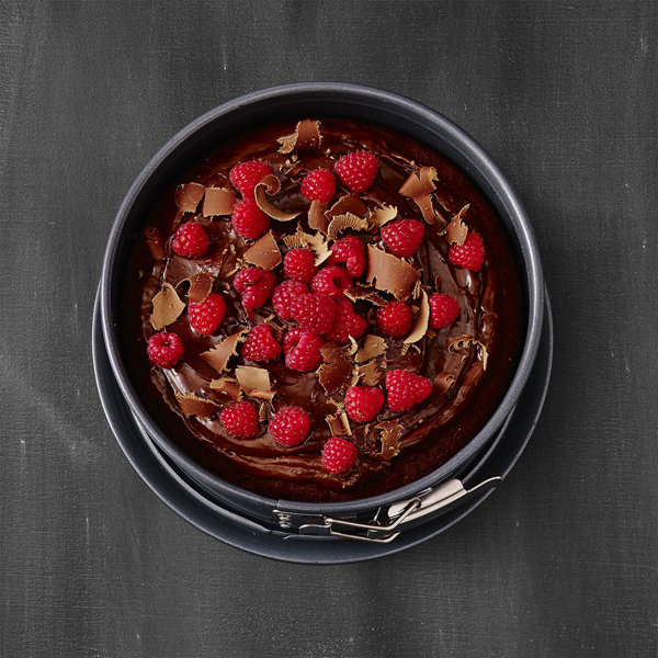 Birkmann 20cm Stainless Steel Non-Stick Round Springform Pan | Wayfair.co.uk